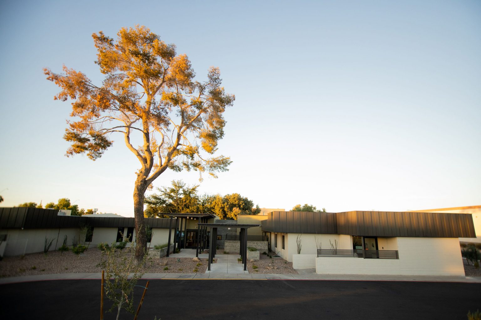 Different Types of Long-Term Care Facilities Explained